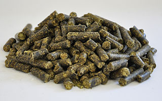 Alfa-Beet | Dengie Horse Feeds