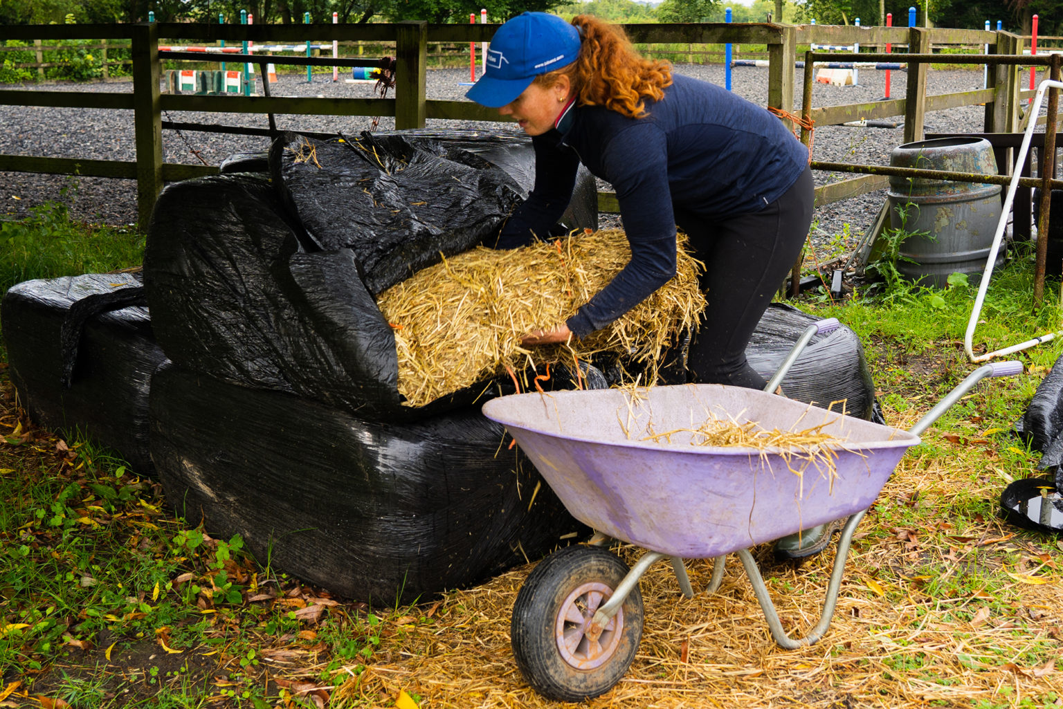 Forage Analysis | Dengie Horse Feeds