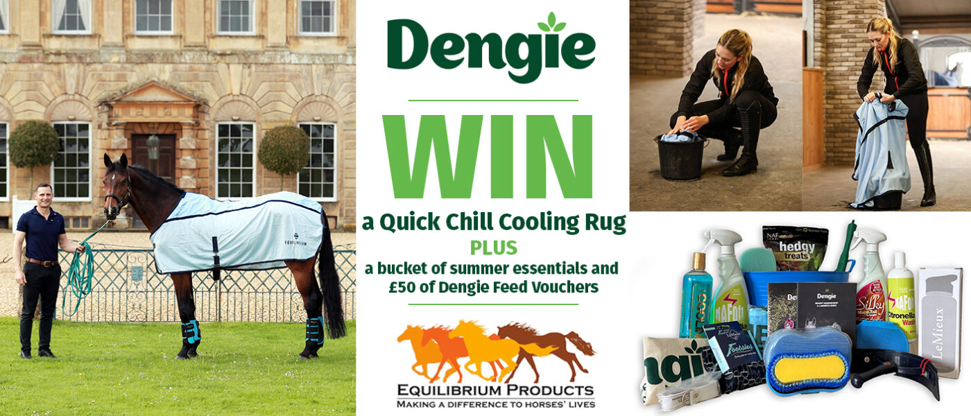 June 2024 Competition | Dengie Horse Feeds