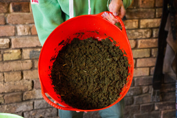 Feed Ingredients | Dengie Horse Feeds