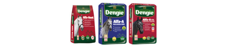 Laminitis | Dengie Horse Feeds