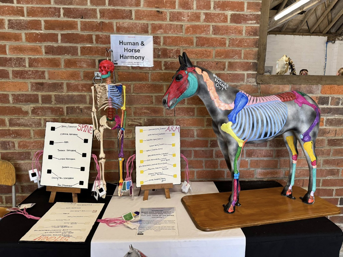 Horses Inside Out Exhibition | Dengie Horse Feeds