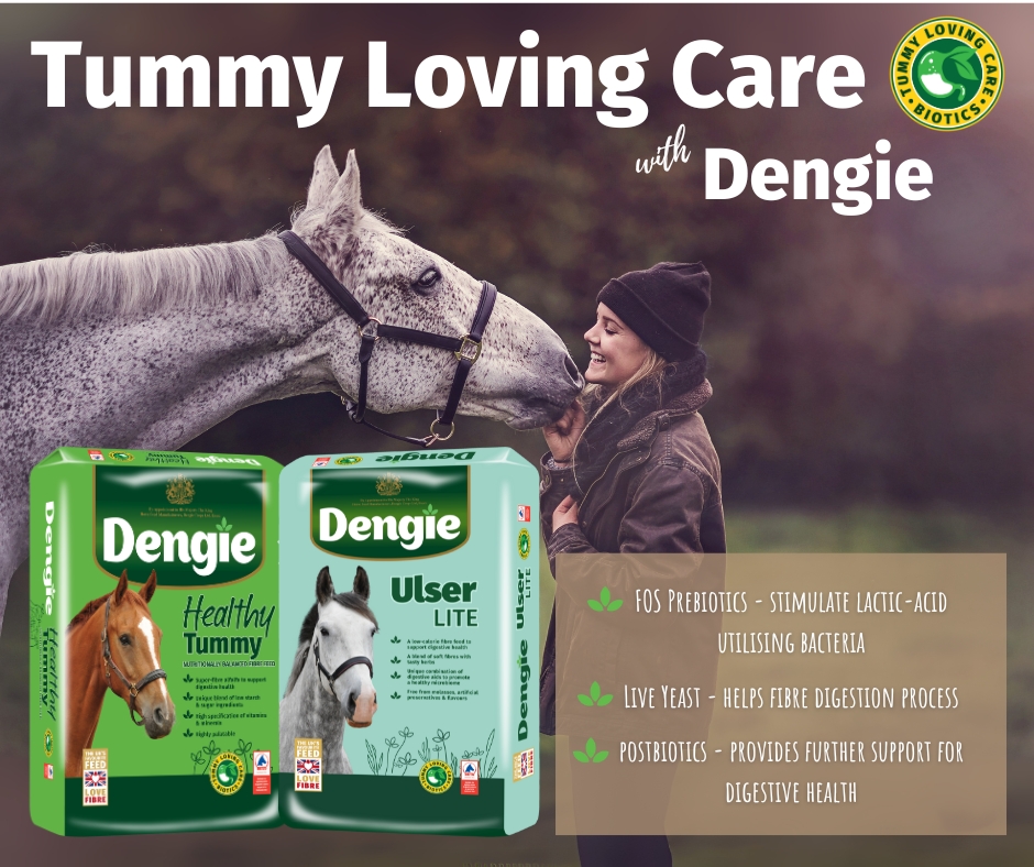Tummy Loving Care | Dengie Horse Feeds